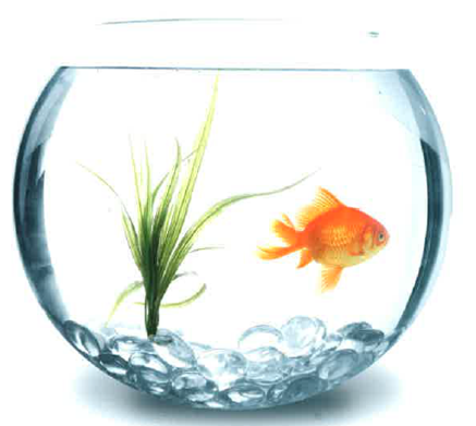 Akvárium kulaté 2,5 l DIVERSA | eshop Výprodeje .net