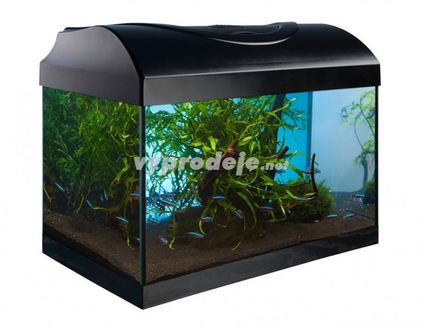Diversa akvarijní set STARTUP 40 rovný 25l LED EXPERT černá | eshop ...